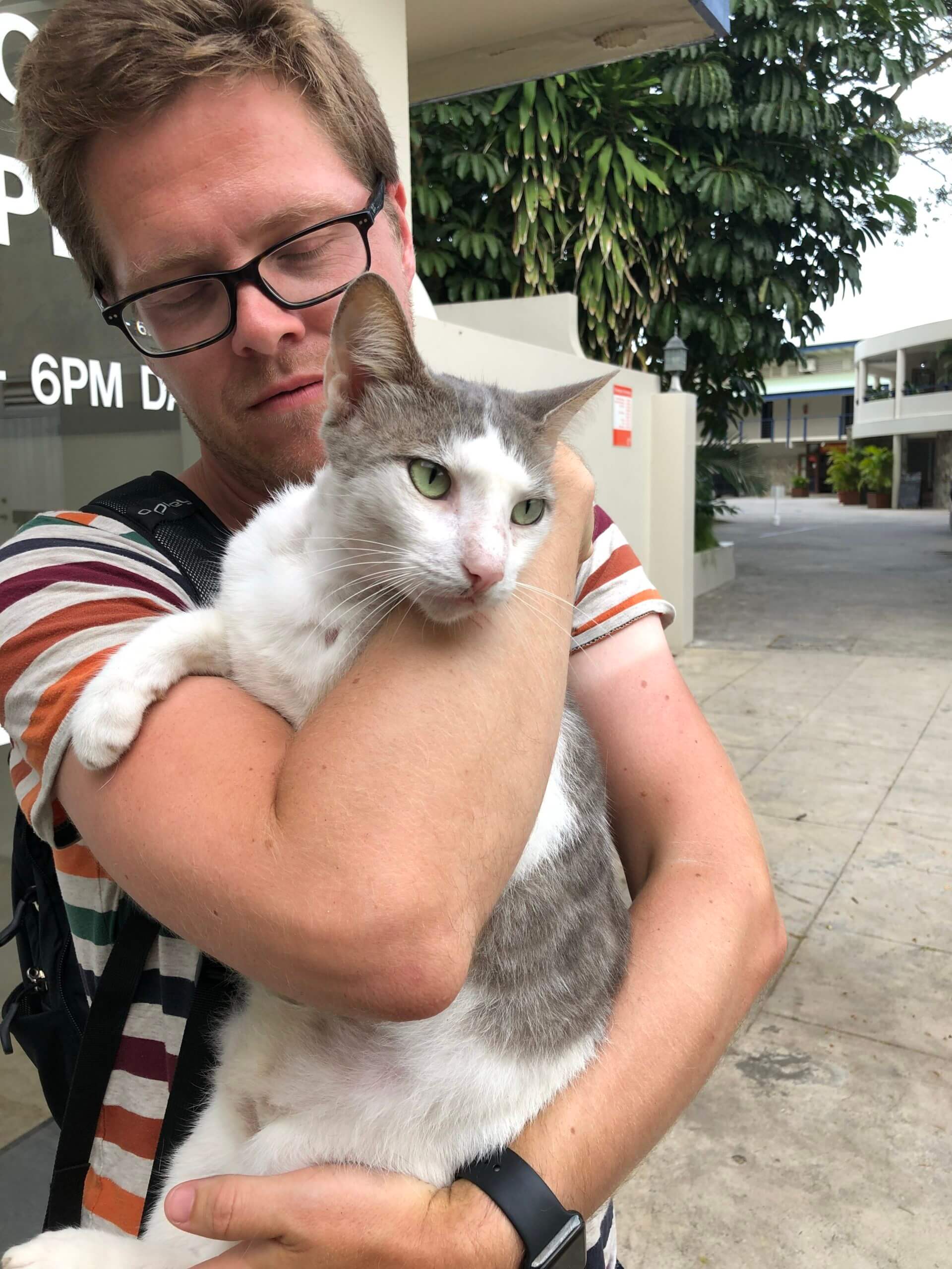 Pelican Pete Part 3 - a rocky homecoming - Sailing Mirounga